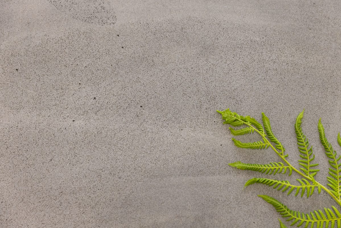 Balmoral Bluestone – MILLER STONE & CO