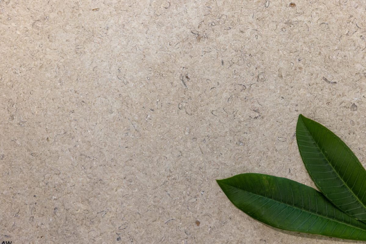 Bronte Limestone AW – MILLER STONE & CO