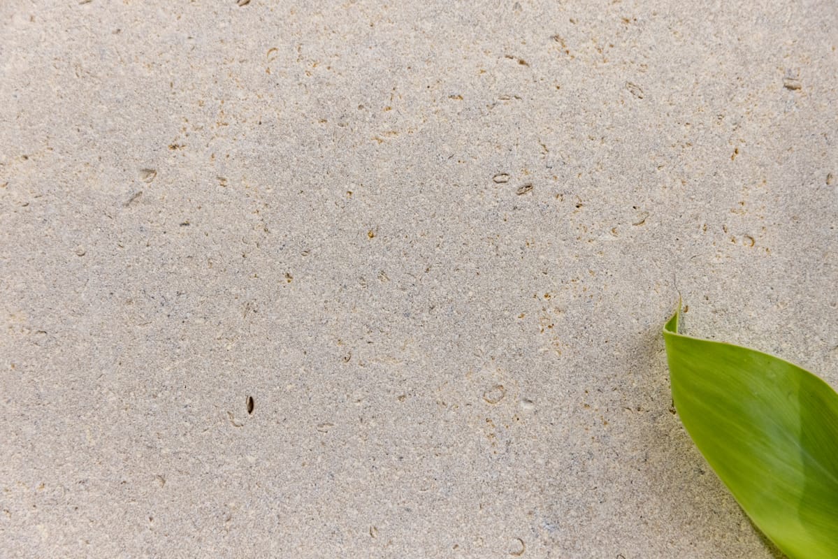 Bronte Limestone T/SB – MILLER STONE & CO