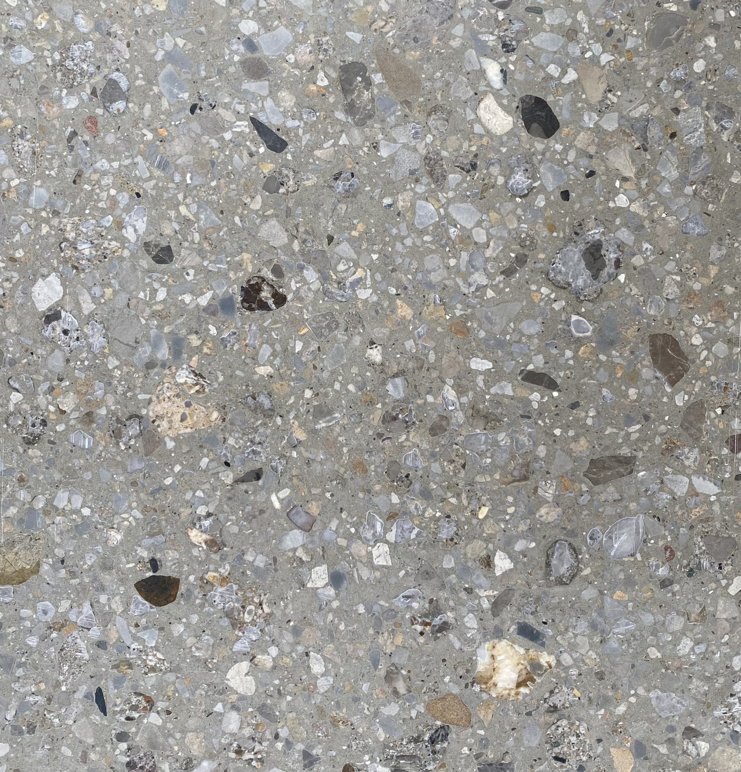 Collections – MILLER STONE & CO