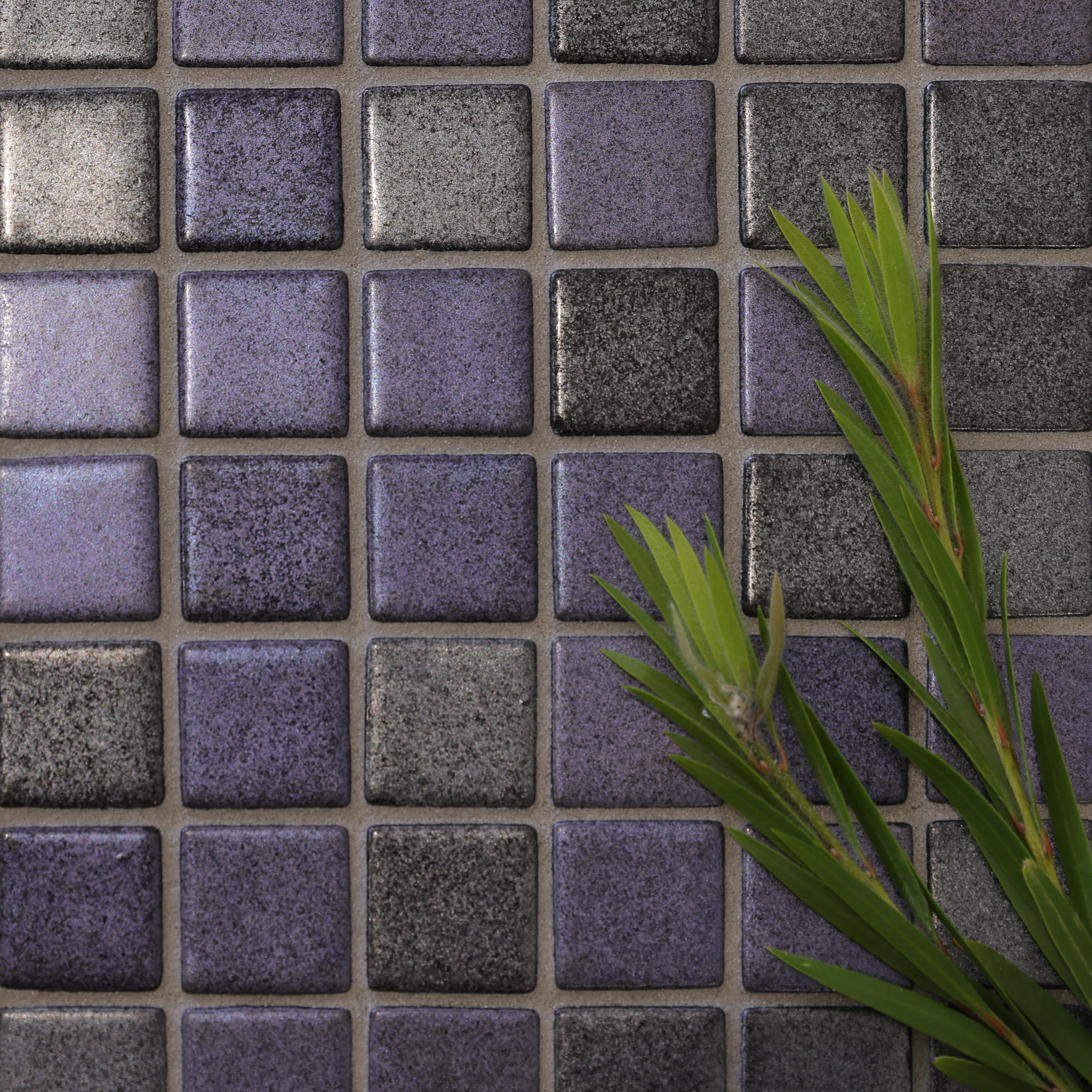 Galaxy – MILLER STONE & CO