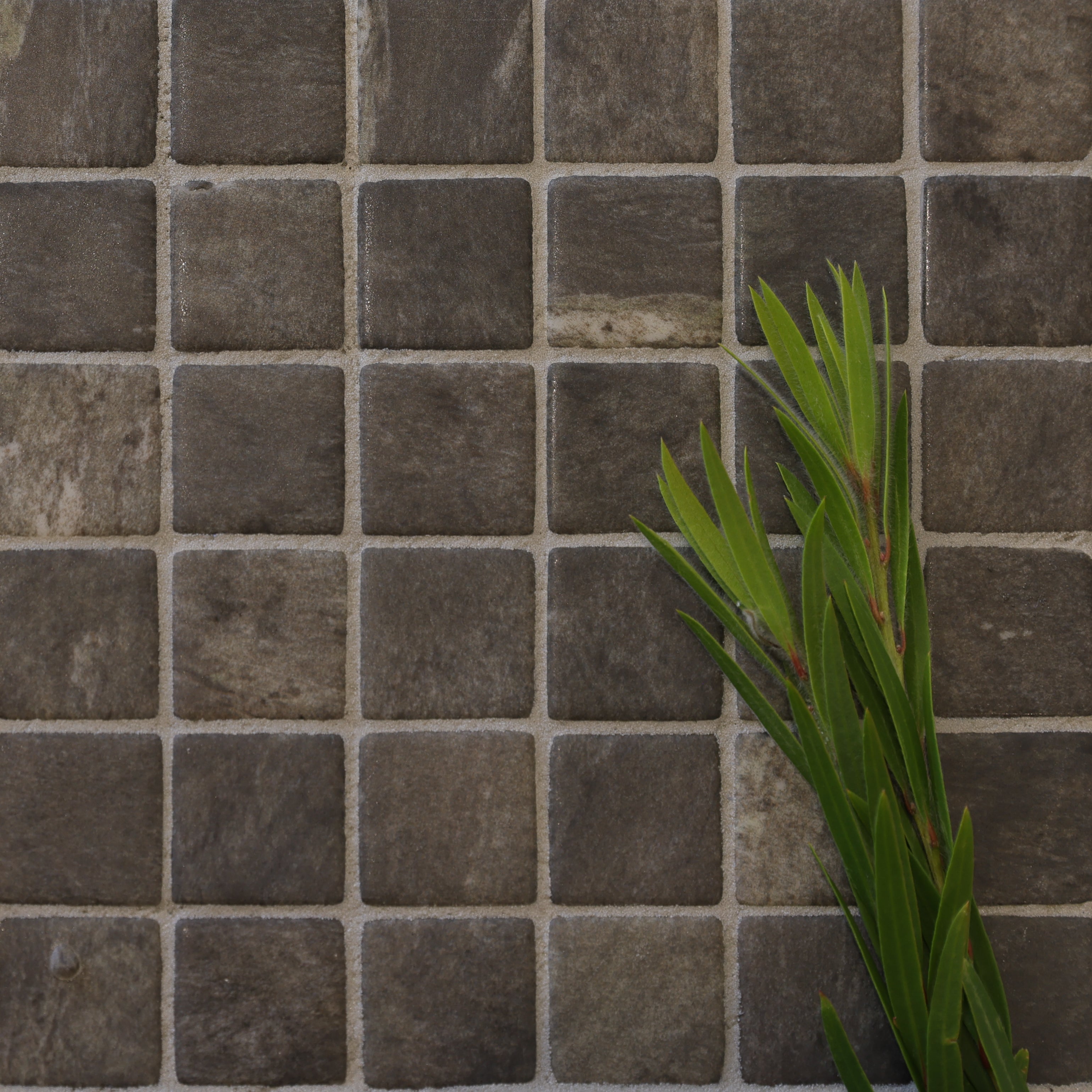 Phyllite Zen – MILLER STONE & CO