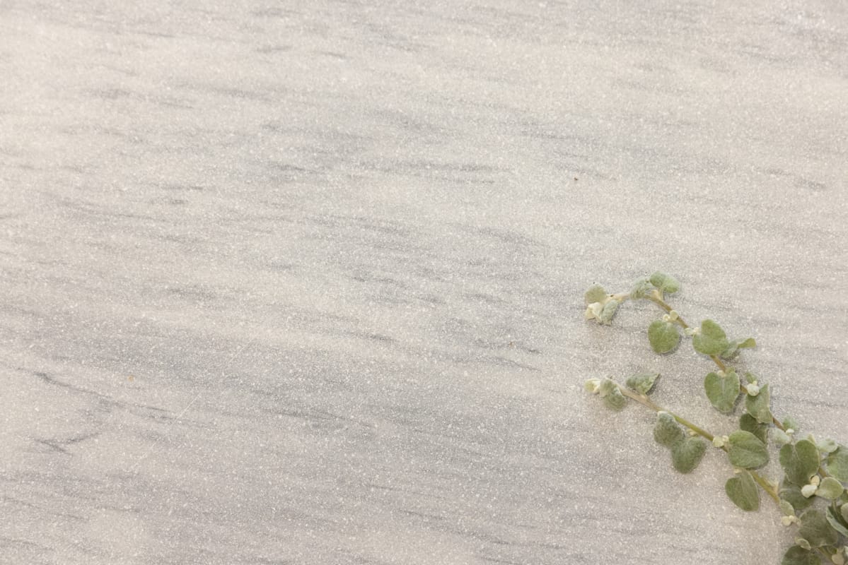 Silverado Marble – MILLER STONE & CO