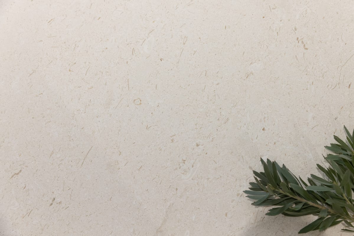 Whitehaven Limestone – MILLER STONE & CO